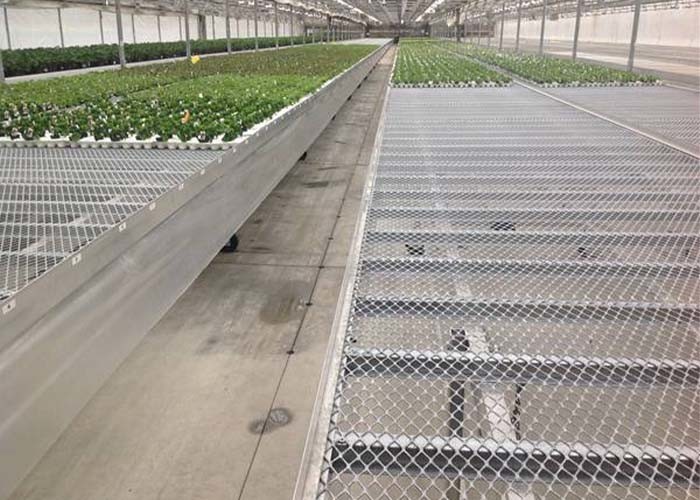 Carbon Expanded Steel Mesh Used As Greenhouse Shelves And Benches